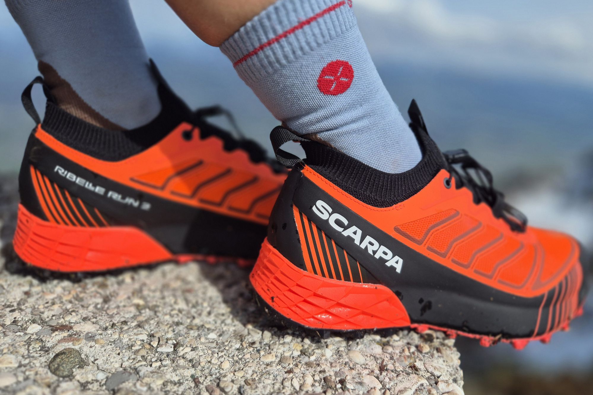 Gewinne einen SCARPA Ribelle Run 2 – berghasen.com